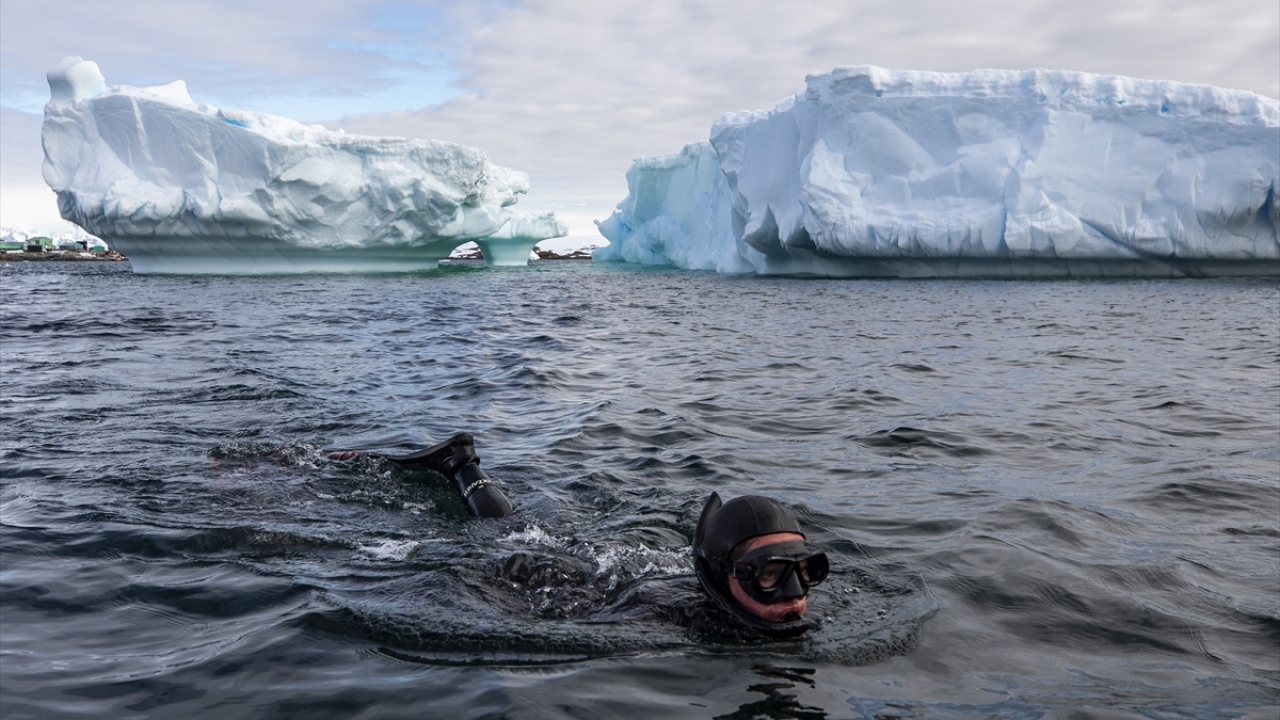 Milli sporcu Şahika Ercümen'den "beyaz kıta"da anlamlı dalış | TRT ...