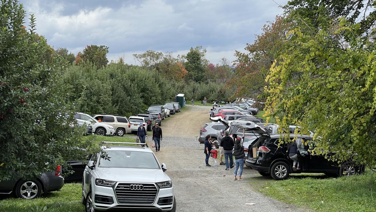 Haftasonunu elma toplayarak değerlendiriyorlar | TRT Haber Foto Galeri