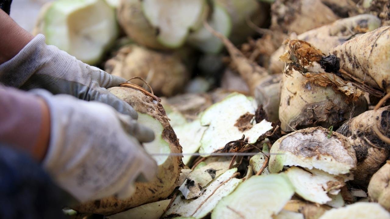 Kırklareli'nin 'pancar pekmezi' sofralara sağlık ve lezzet katıyor ...