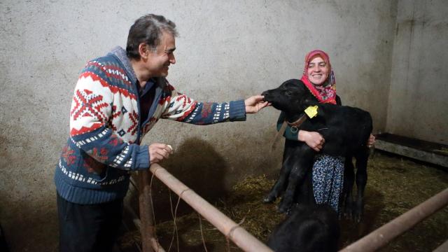 30 yıl sonra mandıra sahibi oldu - Son Dakika Haberleri