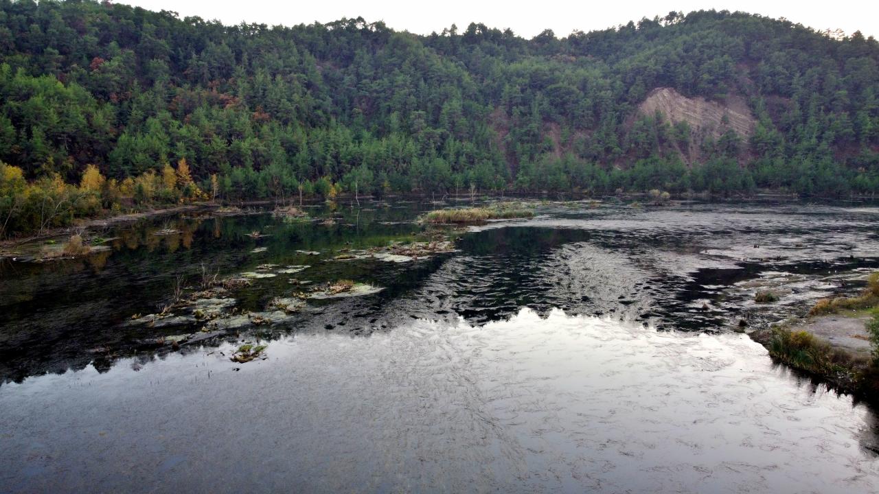 Sonbaharda Ceyhan Nehri | TRT Haber Foto Galeri