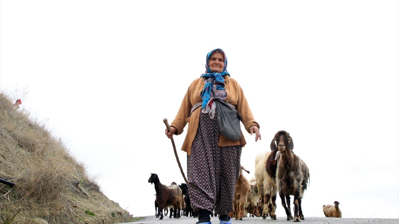 50 yıldır Toroslar'da çobanlık yapıyor | TRT Haber Foto Galeri