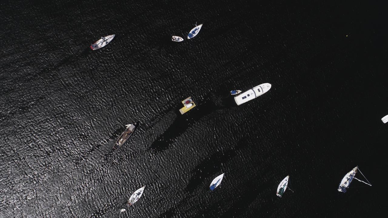 Dünya Okyanuslar Günü | TRT Haber Foto Galeri