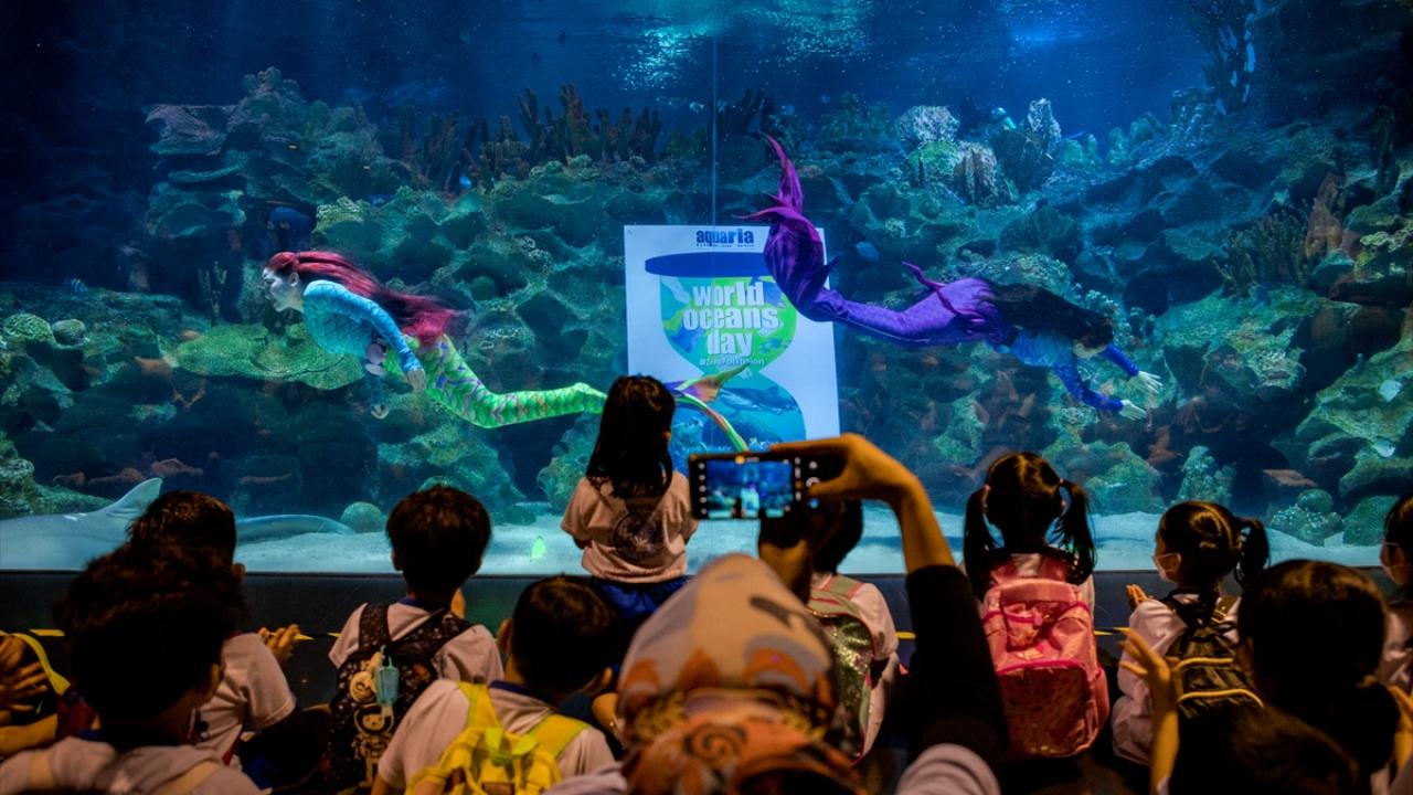 Dünya Okyanuslar Günü | TRT Haber Foto Galeri