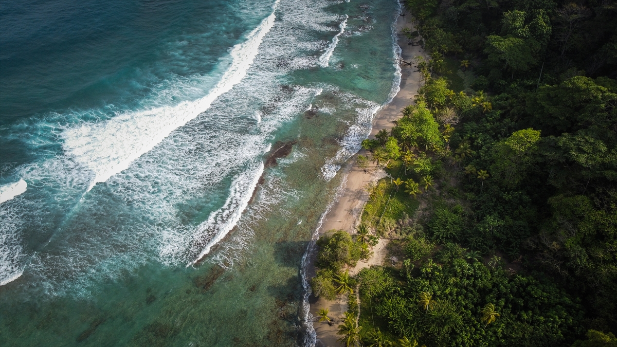 Dünya Okyanuslar Günü | TRT Haber Foto Galeri