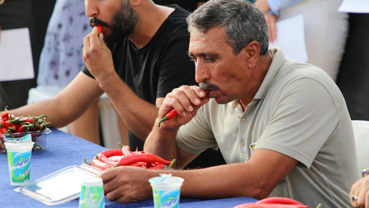 İki dakikada 188 gram acı biber yedi | TRT Haber Foto Galeri