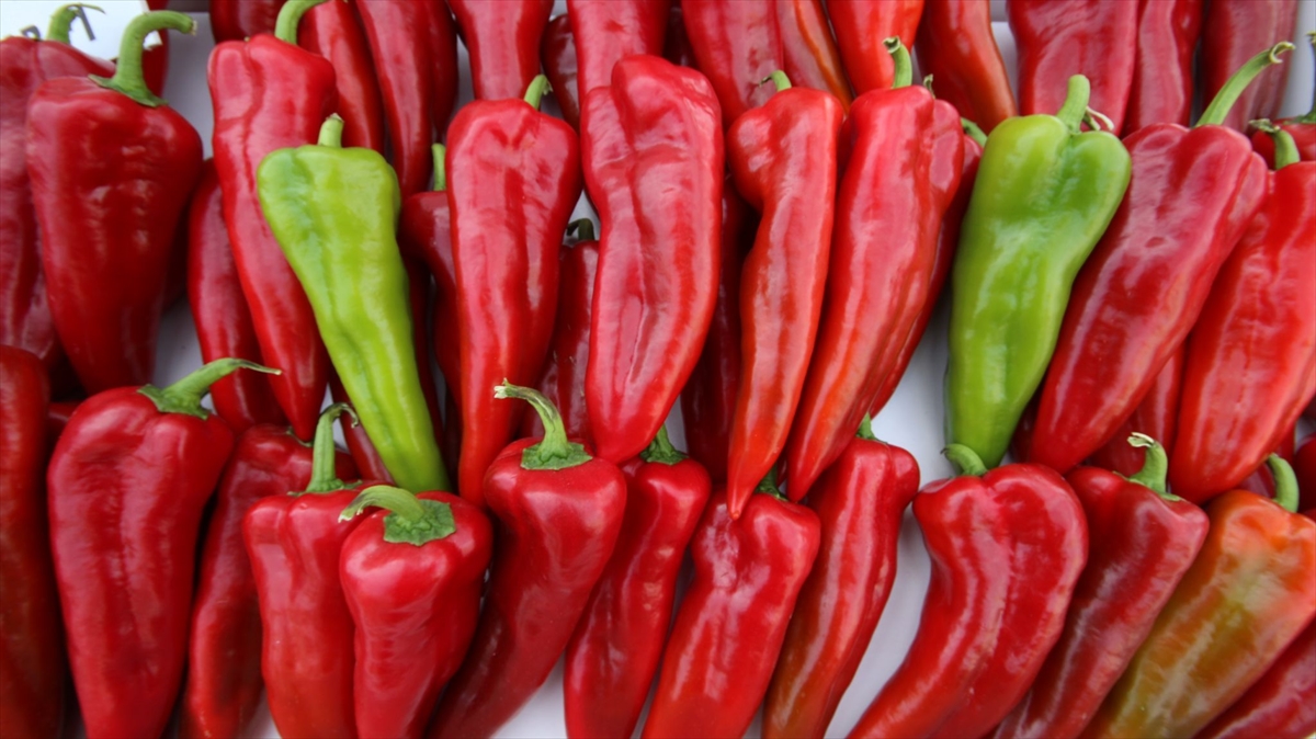 İki dakikada 188 gram acı biber yedi | TRT Haber Foto Galeri