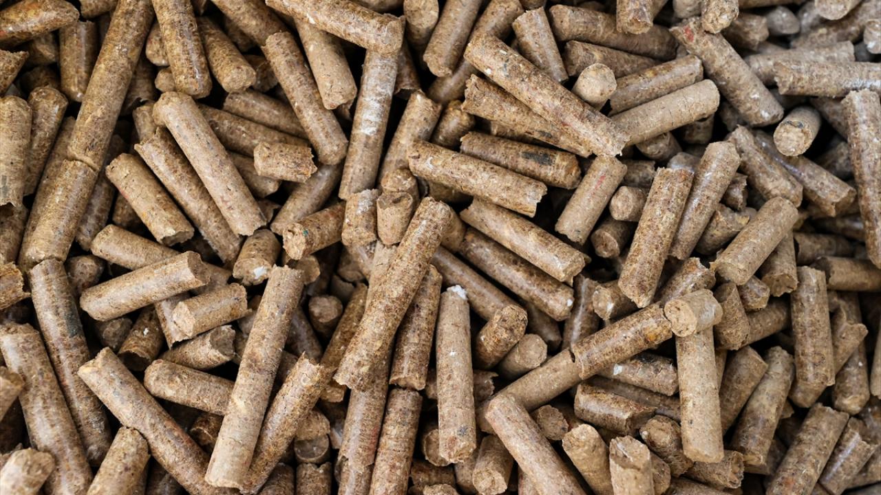 Biyokütle yakıt pelete Avrupa'dan talep arttı | TRT Haber Foto Galeri