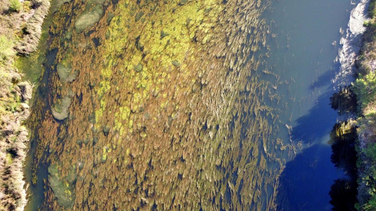 Ceyhan Nehri'ne sonbaharın renkleri yansıdı | TRT Haber Foto Galeri