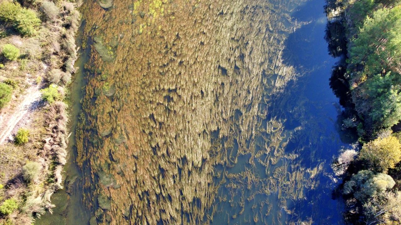 Ceyhan Nehri'ne sonbaharın renkleri yansıdı | TRT Haber Foto Galeri