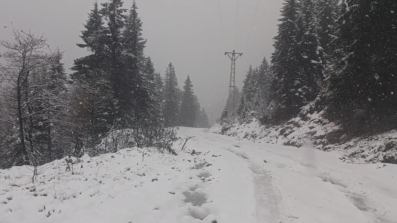 Kar yağışıyla beyaza bürünen iller... | TRT Haber Foto Galeri