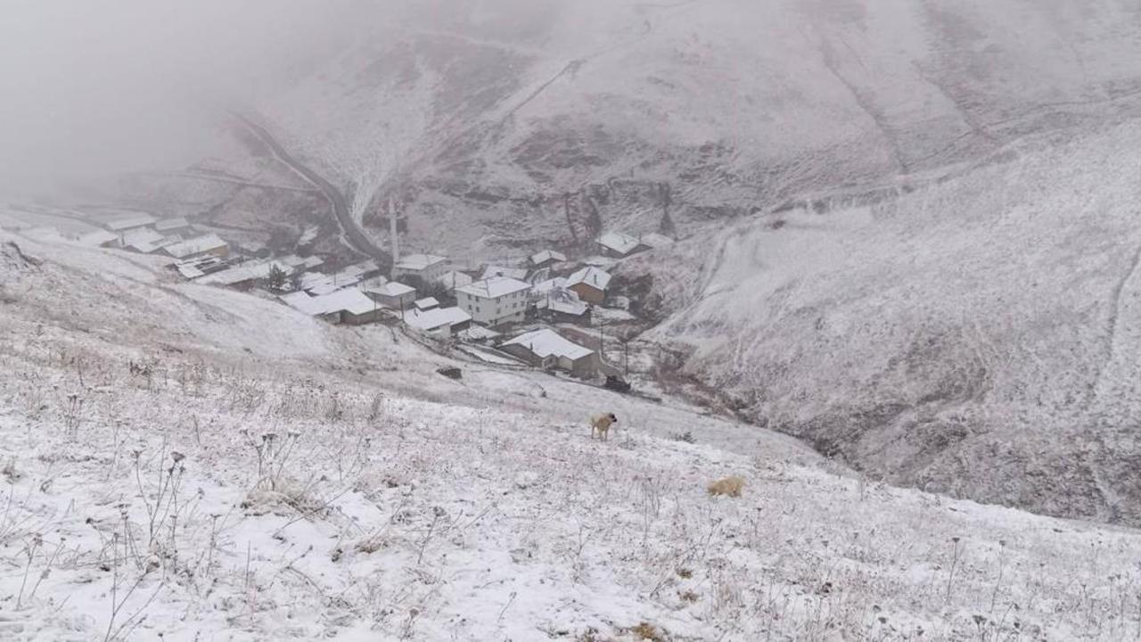 Kar Yağışıyla Beyaza Bürünen Iller Trt Haber Foto Galeri