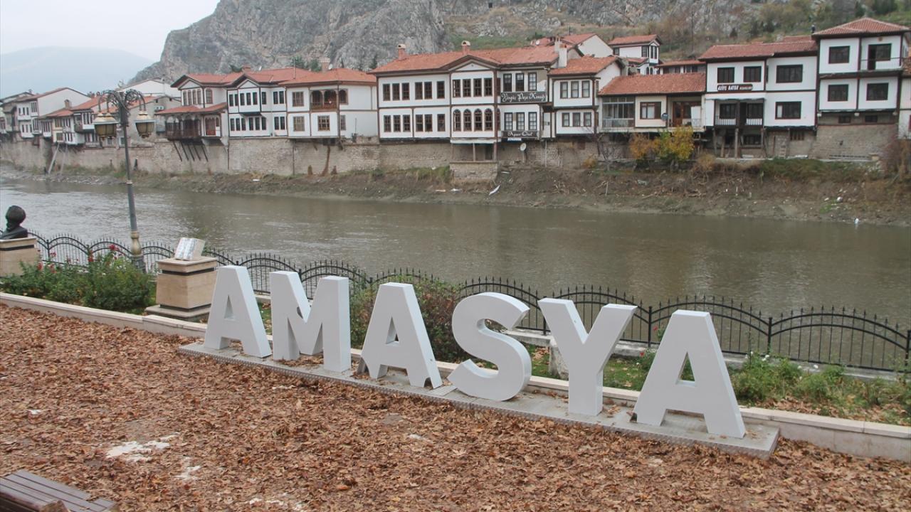Amasya'da sonbahar kareleri için yapraklar toplanmadı | TRT Haber Foto ...