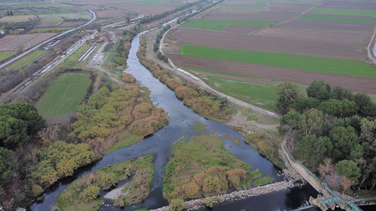 Akçay Nehri'ndeki balık ölümleri araştırılıyor | TRT Haber Foto Galeri