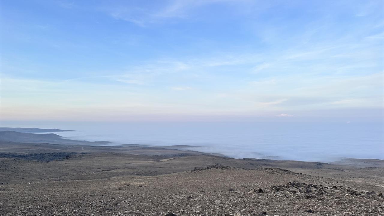 Aras Vadisi'ni sis kapladı | TRT Haber Foto Galeri