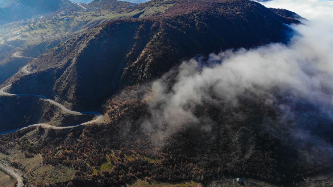 Sisle kaplanan Tunceli dağları havadan görüntülendi | TRT Haber Foto Galeri