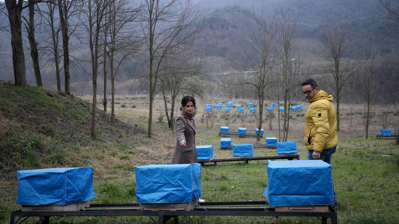 Normalin üzerinde seyreden hava sıcaklıkları arı popülasyonunda ...