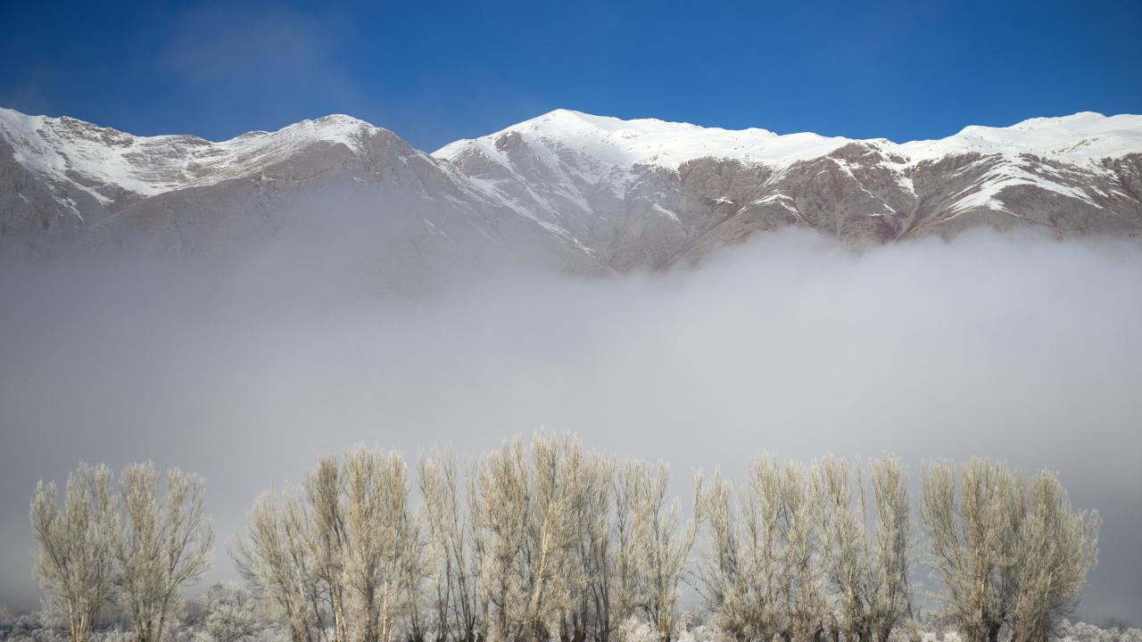Tunceli'de ağaçlar kırağı tuttu, karlı dağların zirvesi sisle kaplandı ...