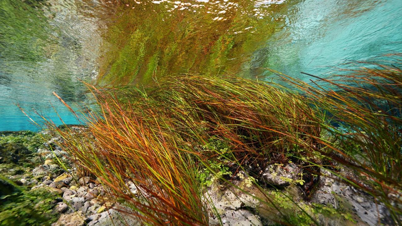 Sakarya Nehri'nin doğduğu bölge su altından görüntülendi | TRT Haber ...