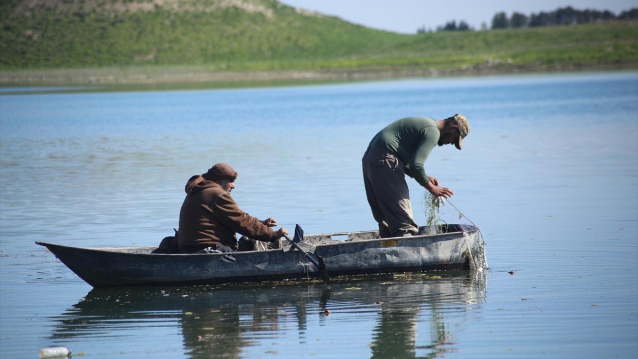 Tel Abyad'ın Belih Nehri'ndeki bereketlilik balıkçıları memnun etti ...