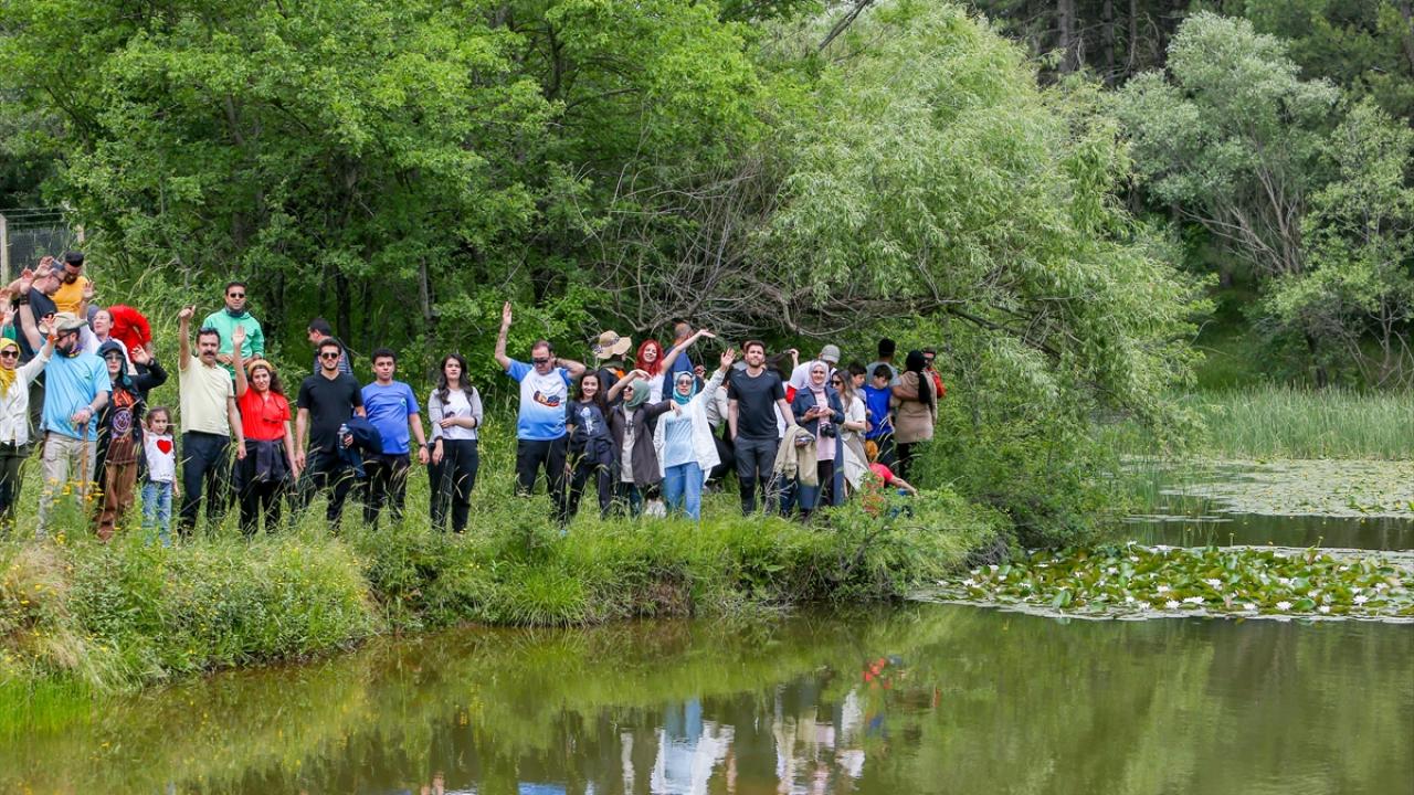 Gayda Gölü'ndeki nilüferler | TRT Haber Foto Galeri