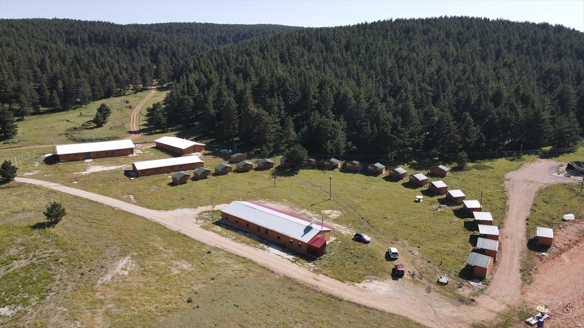 Erzincan'da sıcaktan bunalanlar Dumanlı Tabiat Parkı'nda serinliyor ...