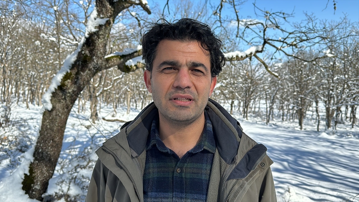 Üniversite binasını yuva edinen yediuyur, kış uykusu için ağaç kovuğuna ...