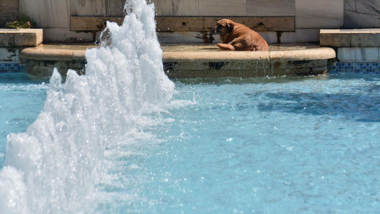 Adana 33 dereceyi gördü, parklar doldu | TRT Haber Foto Galeri