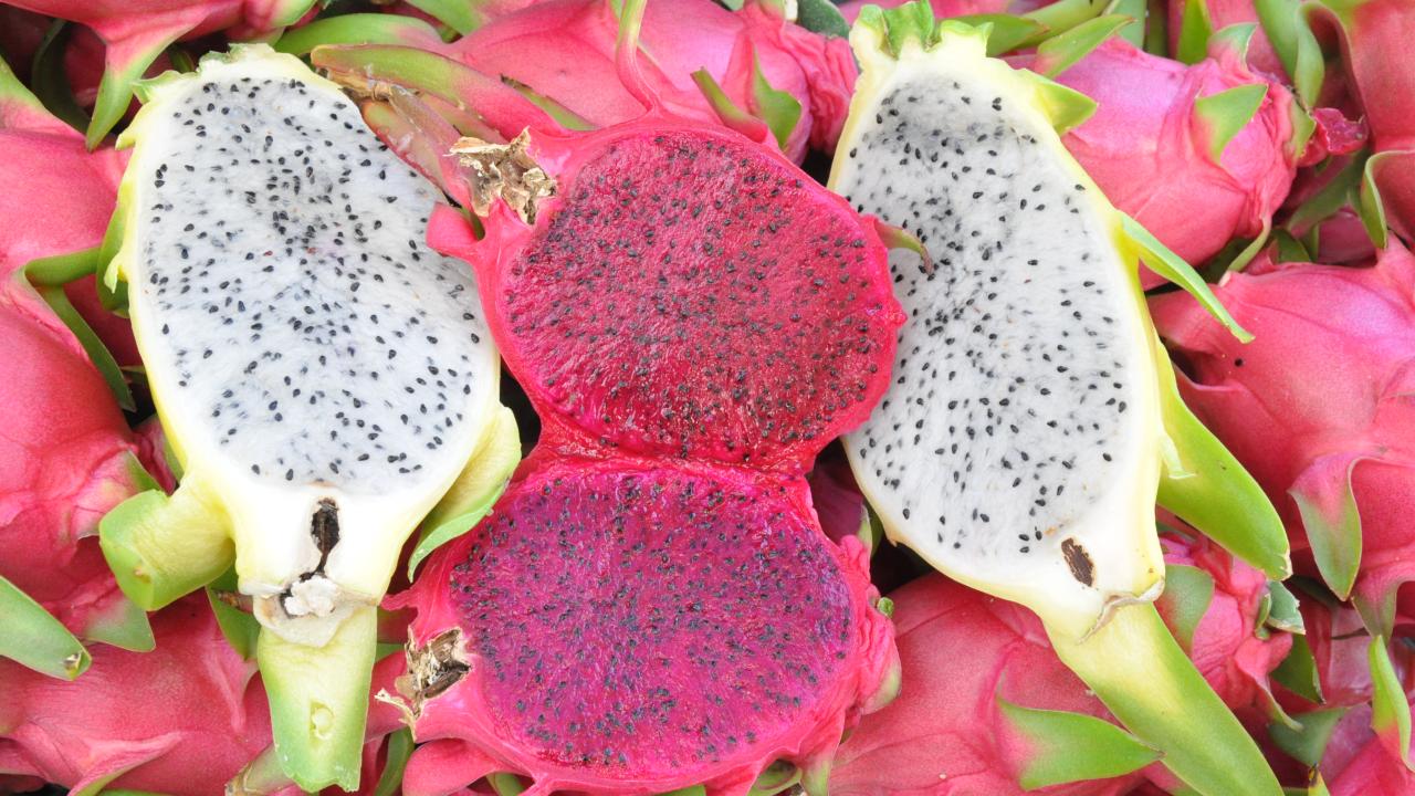 Mersin'de örtü altında ejder meyvesi hasadı başladı | TRT Haber Foto Galeri